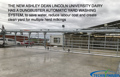 Dungbuster™ | Automatic Dairy Yard Cleaning | TechniPharm